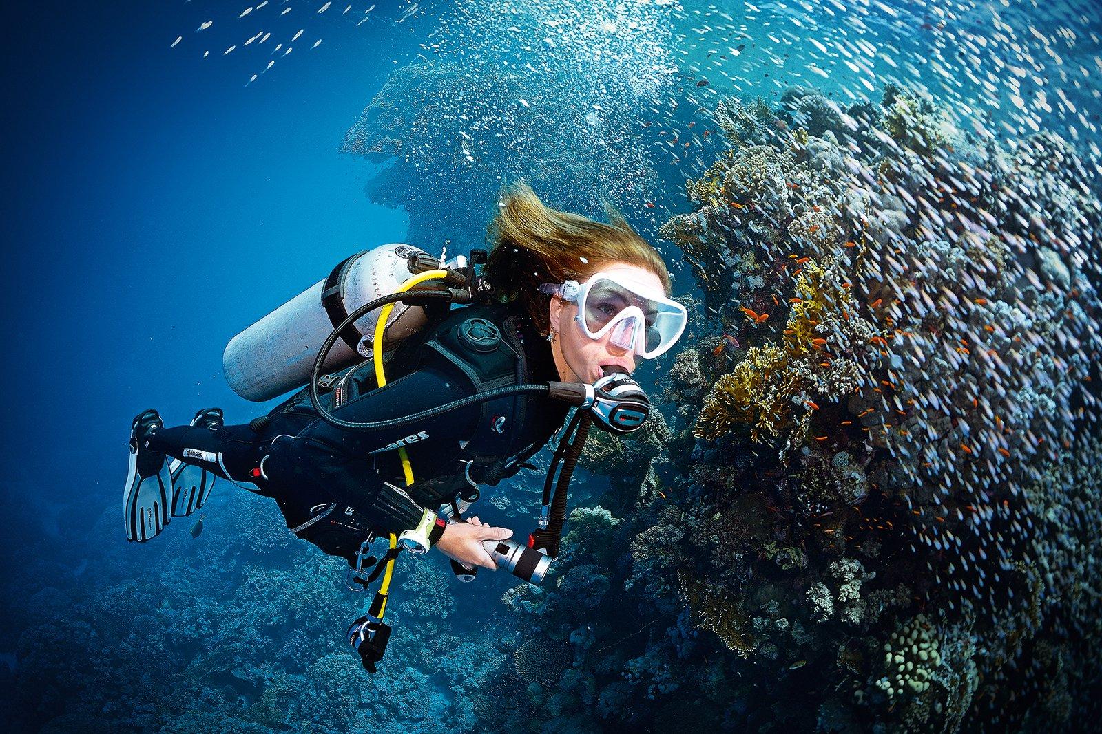 Courses – Epic Scuba and Surf